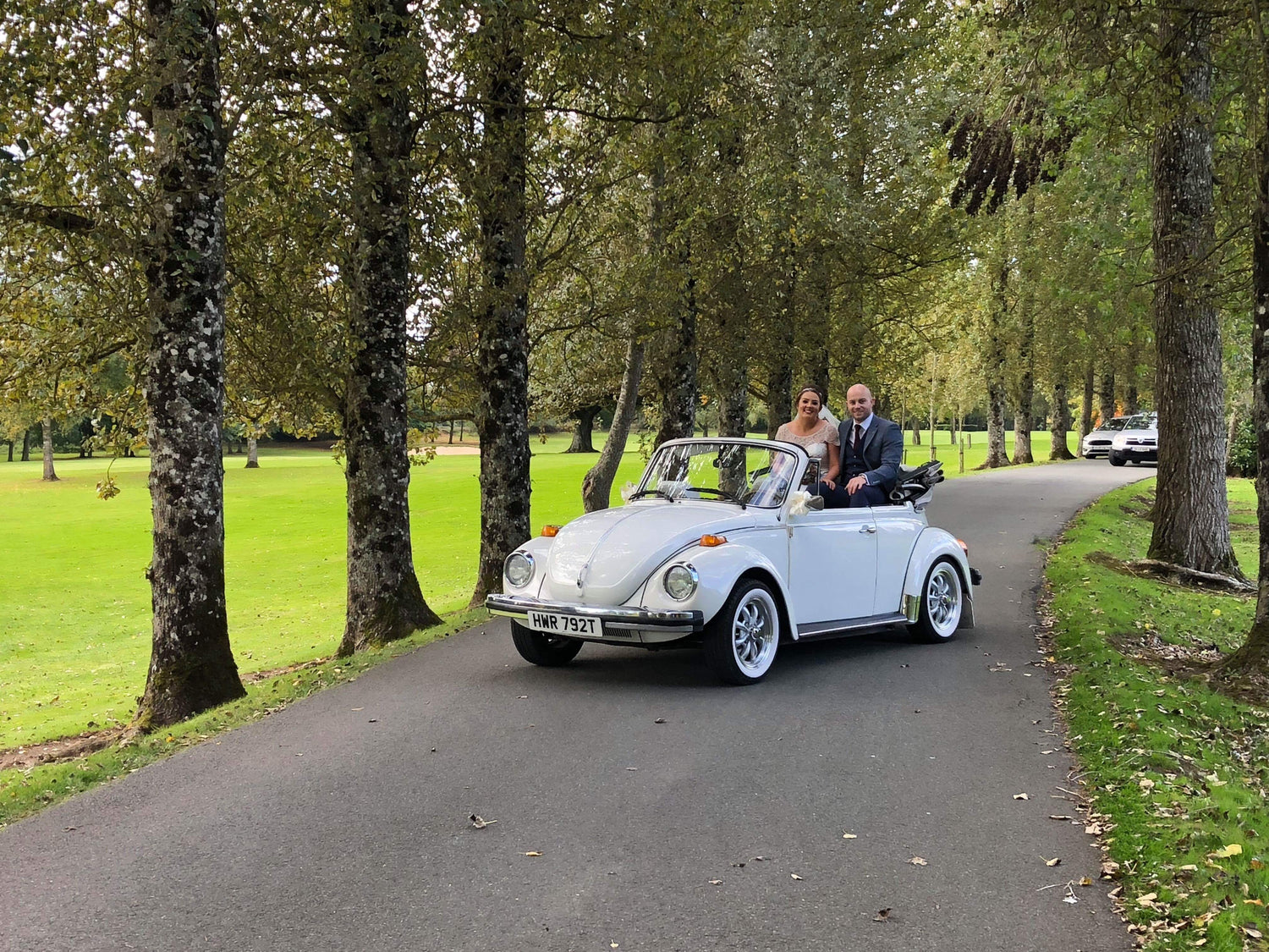 Gallery – Logybear Campervan